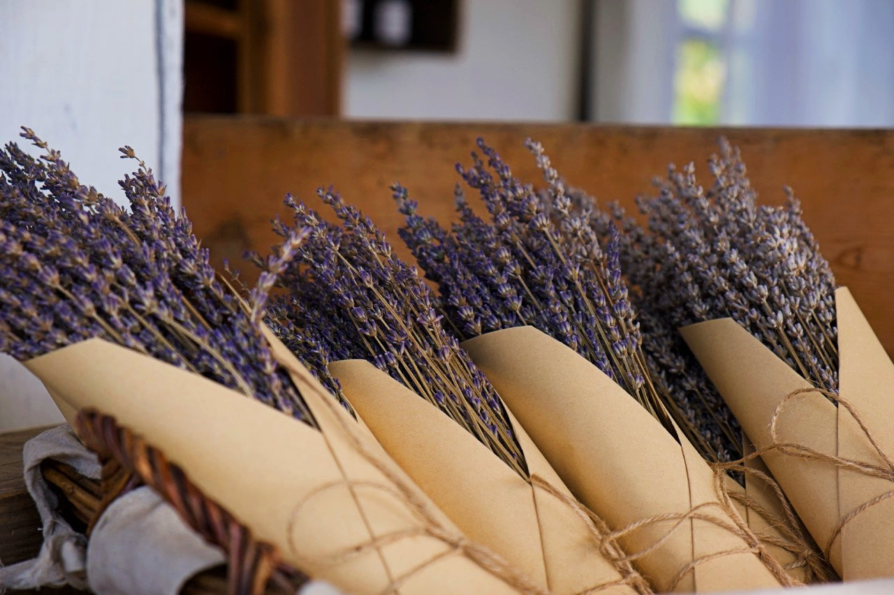 French Dried Bundle-Small – Manitou Acres Lavender Farm